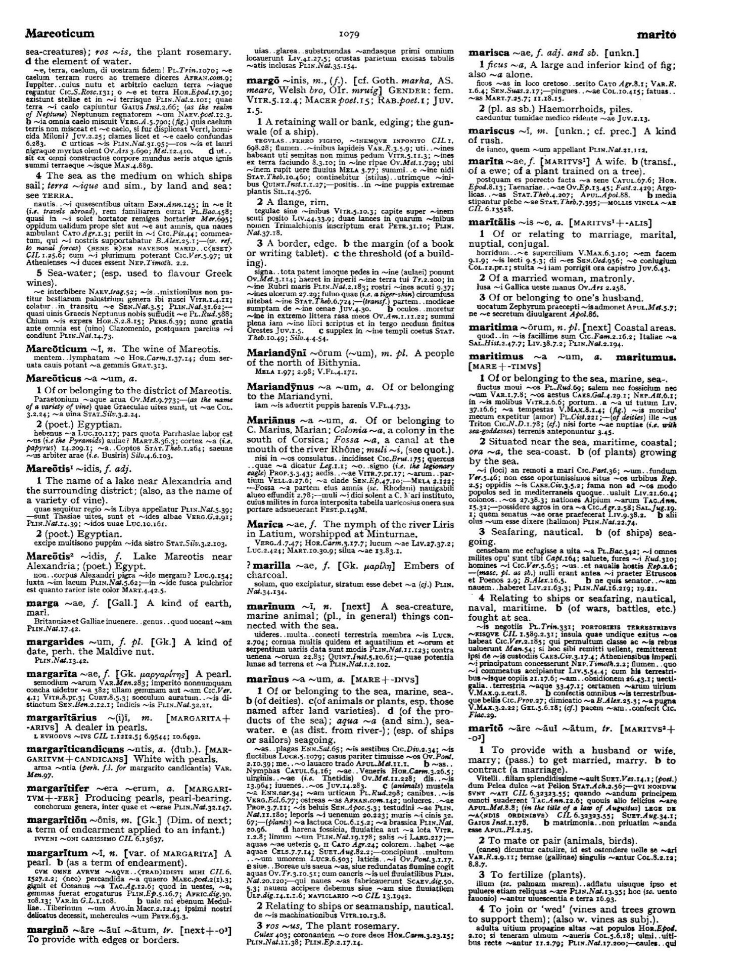 mare (Latin noun) - "sea" - Allo Latin