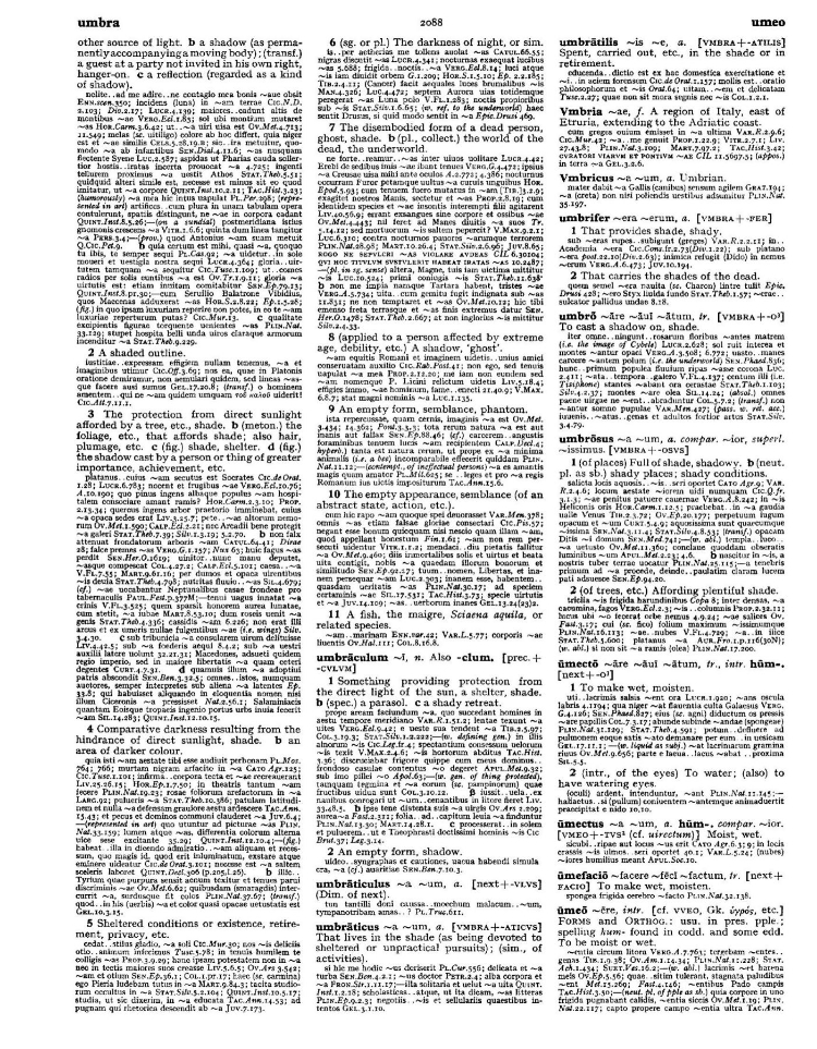 umbra (Latin noun) - "shadow" - Allo Latin